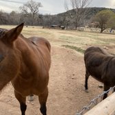 DA RANCH - 197 Photos & 84 Reviews - Wineries - 1901 N Dancing Apache ...