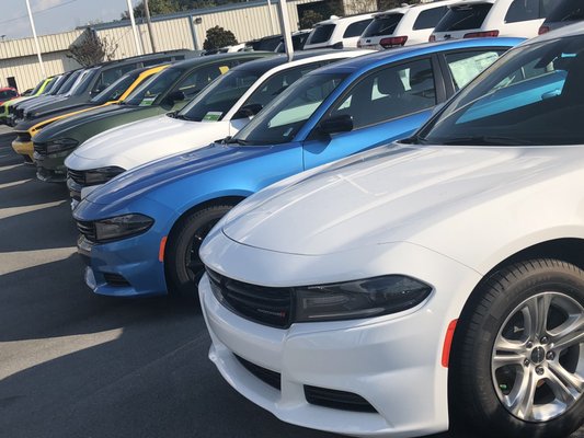 TRI-CITIES CHRYSLER DODGE JEEP RAM - Updated May 2026 - 38 Photos & 50 ...