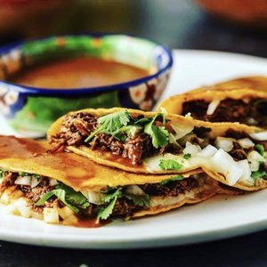 FORTRESS BEERWORKS - 63 Photos & 56 Reviews - 2606 Spring Cypress Rd ...