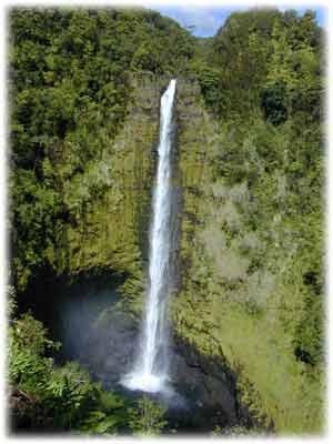 AKAKA FALLS STATE PARK - Updated March 2025 - 2256 Photos & 534 Reviews ...