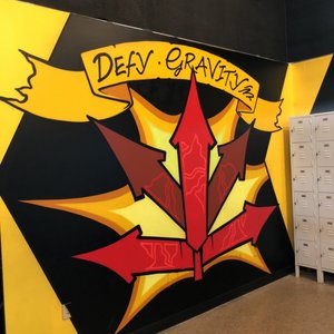 DEFY RALEIGH - 28 Photos & 48 Reviews - Trampoline Parks - 5604 ...