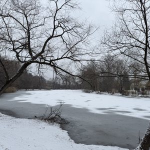 MANDERACH PARK - Updated December 2025 - 21 Photos & 17 Reviews ...