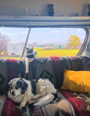 MOUNTAIN GATE RV PARK & CABINS - 55 Photos & 97 Reviews - 14161 Holiday ...