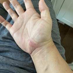 ANDREW BRONSTEIN, MD - 55 Reviews - Orthopedists - 10135 W Twain Ave ...