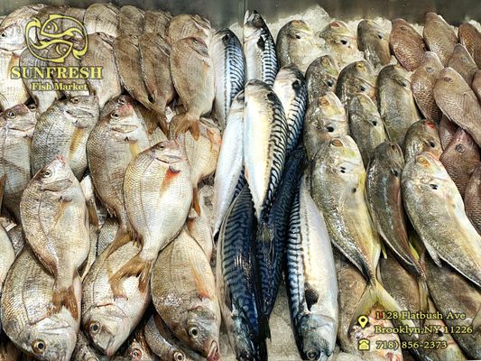 SUN FRESH FISH MARKET - Updated August 2025 - 17 Photos - 1128 Flatbush ...