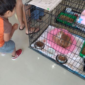 PRICELESS PET RESCUE - COSTA MESA - 49 Photos & 47 Reviews - 1536 ...