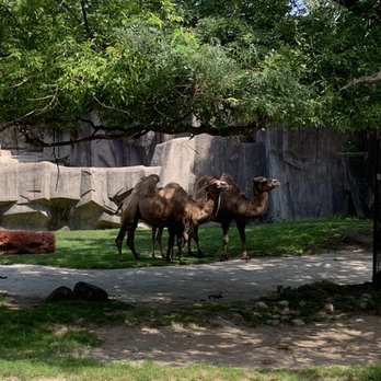 MILWAUKEE COUNTY ZOO - Updated July 2025 - 936 Photos & 293 Reviews ...