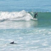 RIGHT AT TORRANCE “RAT” BEACH - 186 Photos & 44 Reviews - Paseo De La ...