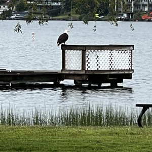 SMOKEY POINT RV PARK - 12 Reviews - 17532 Smokey Point Blvd, Arlington ...