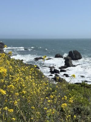 SLIDE RANCH - Updated October 2025 - 99 Photos & 41 Reviews - 2025 ...