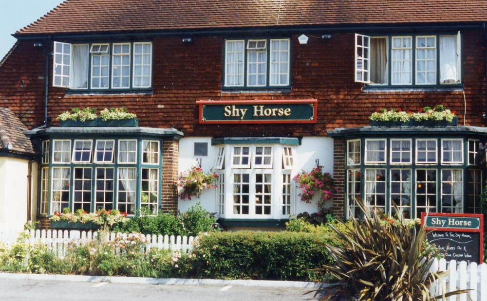 THE SHY HORSE - Updated May 2024 - 423 Leatherhead Road, Chessington ...