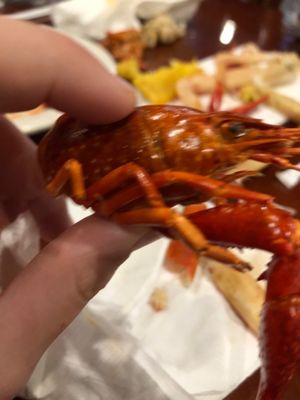 ROYAL INTERNATIONAL BUFFET - Updated March 2025 - 37 Photos & 42 ...