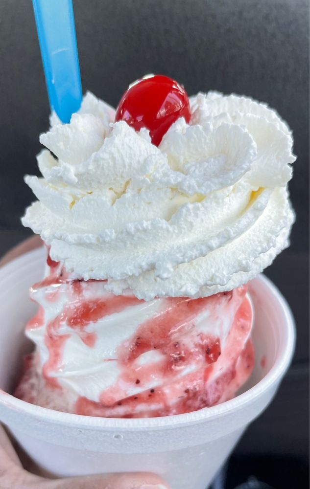 BO’S ICE CREAM - 156 Photos & 239 Reviews - 7101 N Florida Ave, Tampa ...