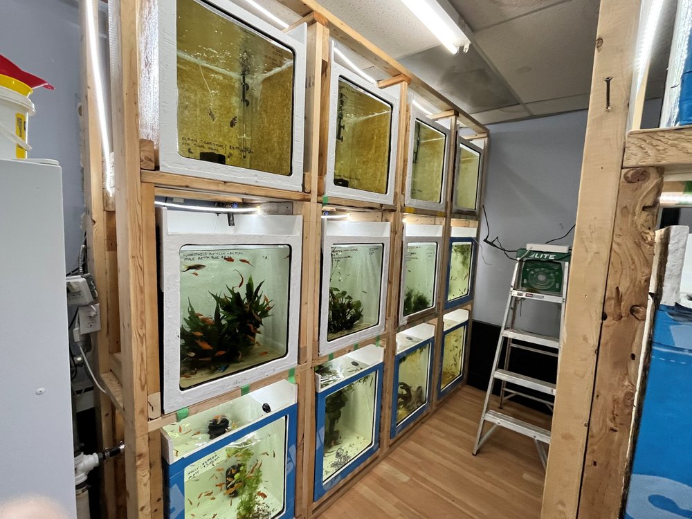 ALL PET FOODS SUPERCENTRE - Updated November 2025 - Request Information ...