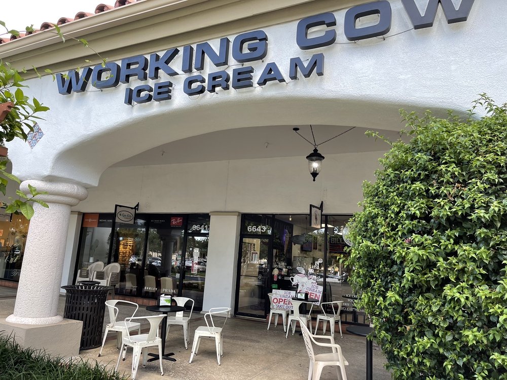 BRENDYS - BOYNTON - Updated July 2025 - 98 Photos & 127 Reviews - 6643 ...