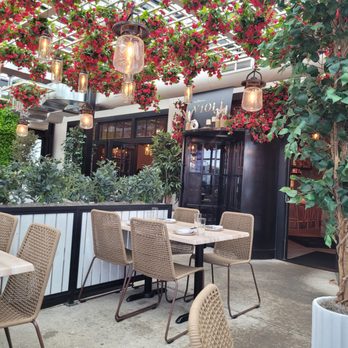 VIOLI - Updated August 2024 - 602 Photos & 230 Reviews - 260 Oakbrook ...