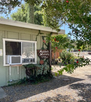 MADDOCK RANCH NURSERY - Updated October 2025 - 21 Photos & 24 Reviews ...