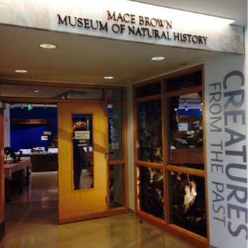 MACE BROWN MUSEUM OF NATURAL HISTORY - Updated October 2025 - 116 ...