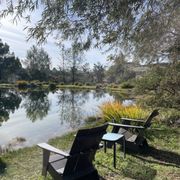 EDEN VALE INN - 372 Photos & 169 Reviews - 1780 Springvale Rd ...