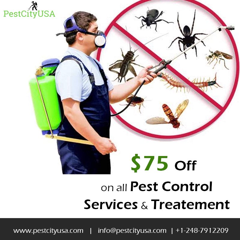 PEST CITY USA - Updated October 2025 - 18665 Eight Mile Rd, Detroit ...
