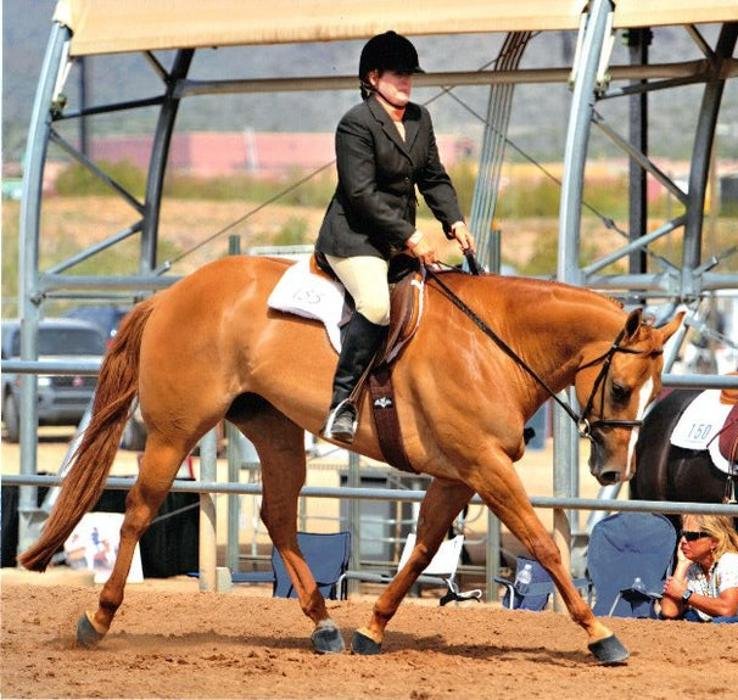 CELEBRITY RANCH - Updated May 2024 - 21446 S Lindsay Rd, Chandler ...