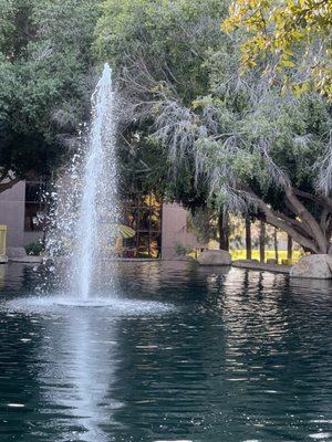 NORTHSIGHT RECOVERY - Updated December 2025 - 16 Photos - 1440 E ...