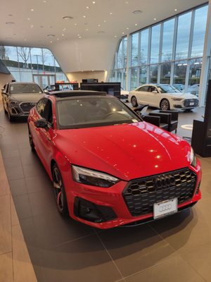 AUDI ROCKVILLE - Updated December 2025 - 140 Photos & 321 Reviews ...