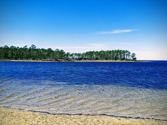 SWEETBAY - Updated October 2025 - 12 Photos - 3204 Heartleaf Ave E ...