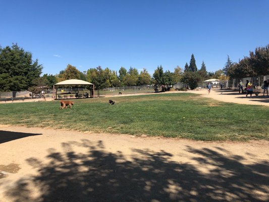 BEAR DOG PARK - Updated September 2025 - 46 Photos & 67 Reviews - 1575 ...