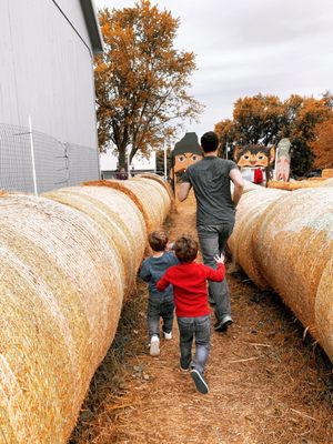 LARRILAND FARM - 382 Photos & 191 Reviews - 2415 Woodbine Rd, Woodbine ...