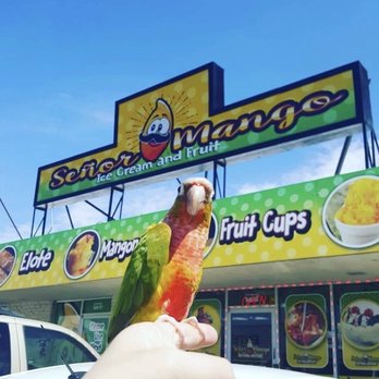 SENOR MANGO ICE CREAM & FRUIT - Updated October 2025 - 74 Photos & 57 Reviews - 5112 West Ave ...