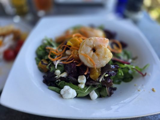 FINS AT SHARKY’S - Updated June 2026 - 977 Photos & 1084 Reviews - 1600 ...