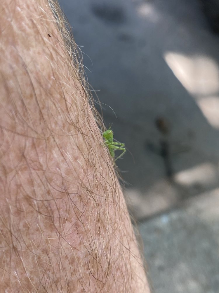 SIM PARK - Updated December 2025 - 2103 W Sim Park Dr, Wichita, Kansas ...