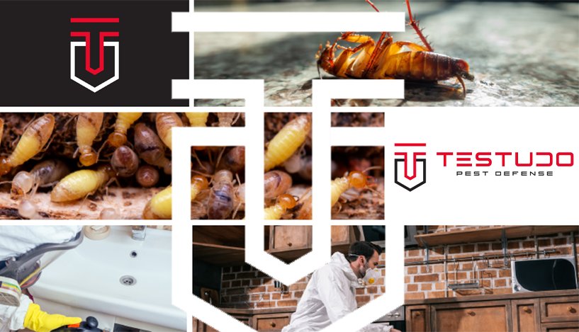 TESTUDO PEST CONTROL - Updated December 2025 - 920 Mercury Rd, Edmond ...