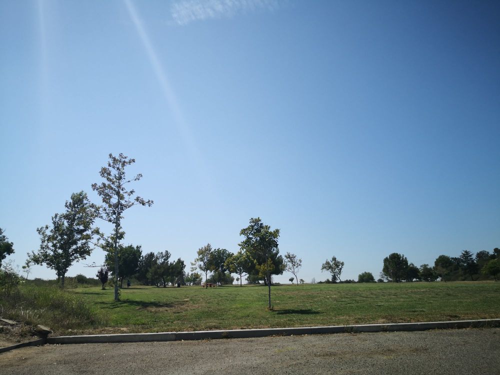 CAREY RANCH PARK - Updated December 2025 - 15052 Crestknoll Dr, Los ...