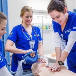 STANBRIDGE UNIVERSITY - 80 Photos & 288 Reviews - 2041 Business Center ...