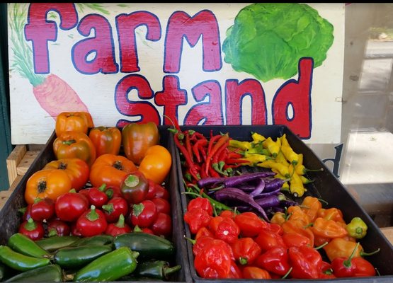 MILL RIVER GENERAL STORE - Updated December 2025 - 10 Great Barrington ...