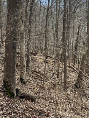 GENERAL BUTLER STATE RESORT PARK - Updated January 2025 - 116 Photos ...