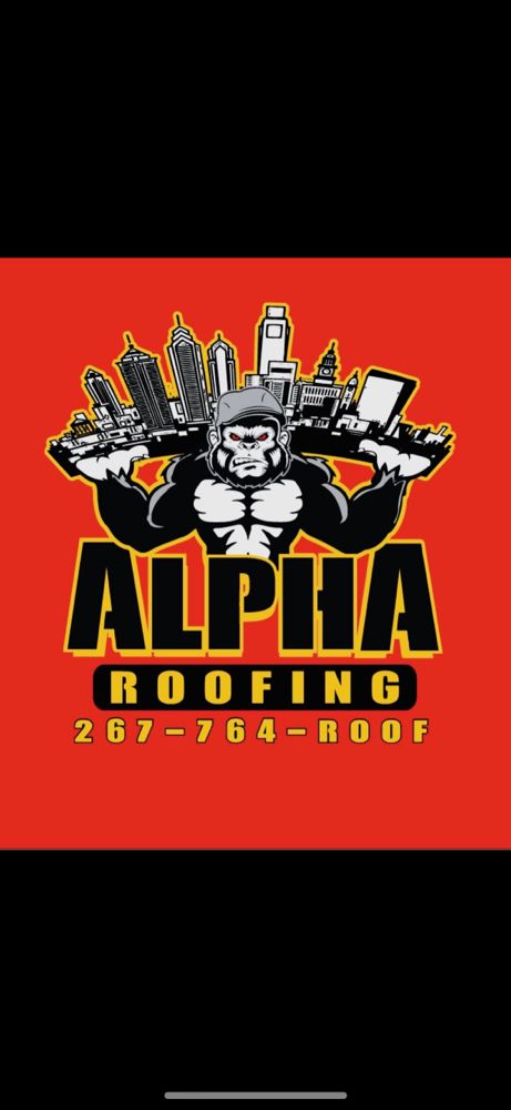 ALPHA ROOFING - Updated August 2025 - 18 Photos & 22 Reviews - 4436 ...