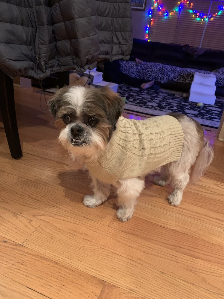 BECKER ANIMAL HOSPITAL - Updated October 2025 - 14 Photos & 40 Reviews ...