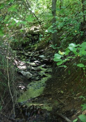 HEMLOCK OVERLOOK REGIONAL PARK - Updated January 2026 - 64 Photos & 27 ...