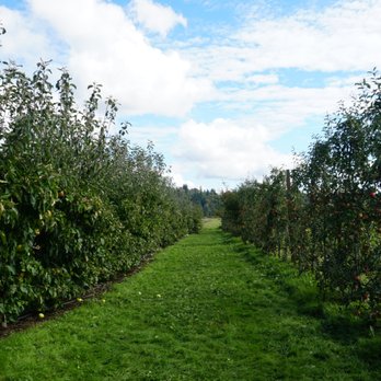 SWANS TRAIL FARMS - Updated July 2024 - 213 Photos & 73 Reviews - 7301 ...