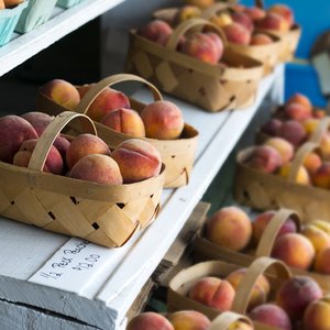 SHAWNEE CANNING - Updated July 2025 - 13 Photos - 212 Cross Junction Rd ...