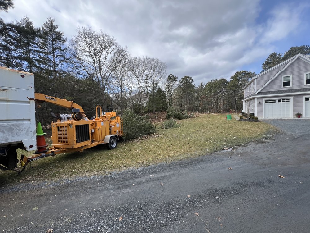 TREE GUYS - Updated September 2025 - Teaticket, Massachusetts - Tree ...