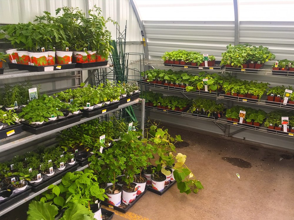 IFA COUNTRY STORE - DELTA - 15 Photos - 498 W Main St, Delta, UT - Yelp