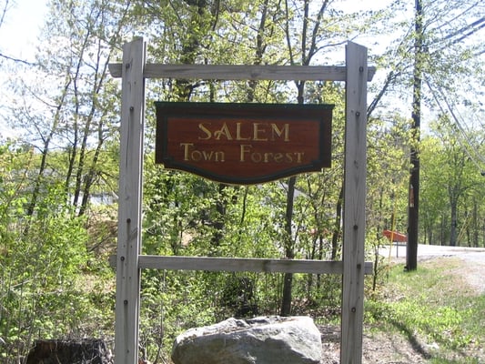 SALEM TOWN FOREST - Updated July 2025 - 222 Shadow Lake Rd, Salem, New ...