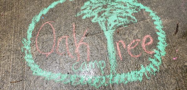 OAK TREE CAMPS - Updated December 2025 - 22 Eagle Row, Atlanta, Georgia ...