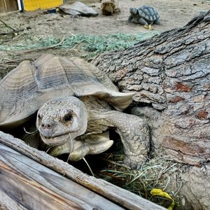FOSSIL DISCOVERY CENTER OF MADERA COUNTY - Museum at 19450 Ave 21 1/2 ...