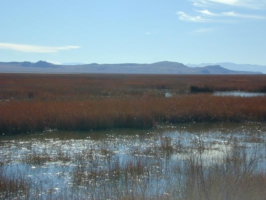 STILLWATER NATIONAL WILDLIFE REFUGE - Updated December 2025 - 1020 New ...