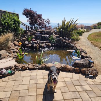 The Waterfall Guy - Trusted Since 2002 - Updated July 2025 - 41 Photos ...